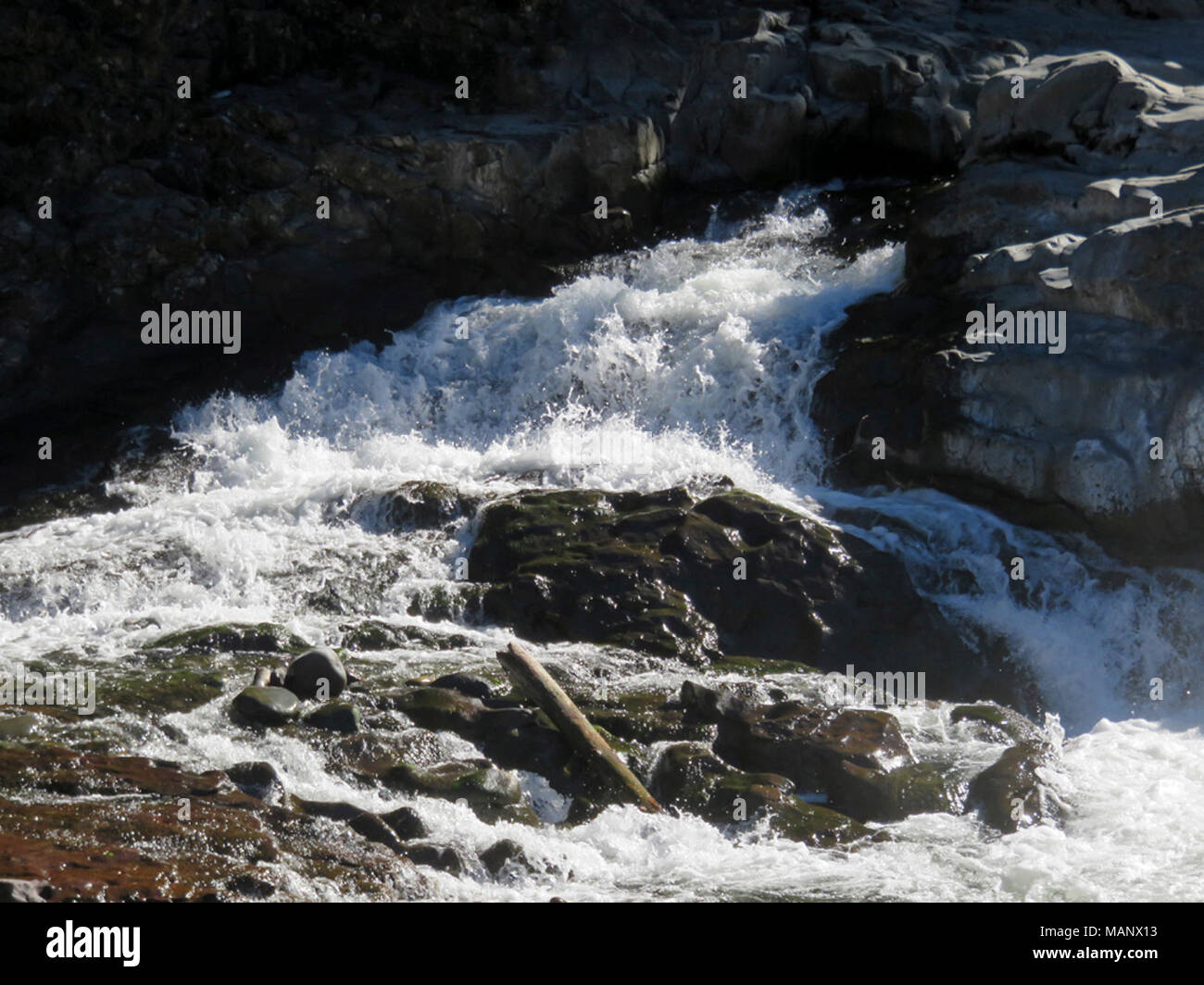 Lucia Falls Park at Lewis River in WA Stock Photo - Alamy