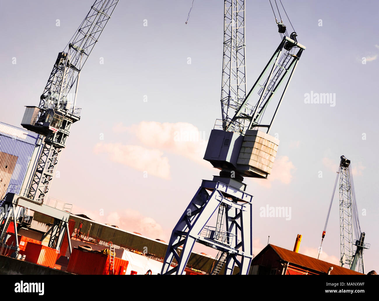Container harbor with harbor cranes or freight cranes. Warf or cargo ...