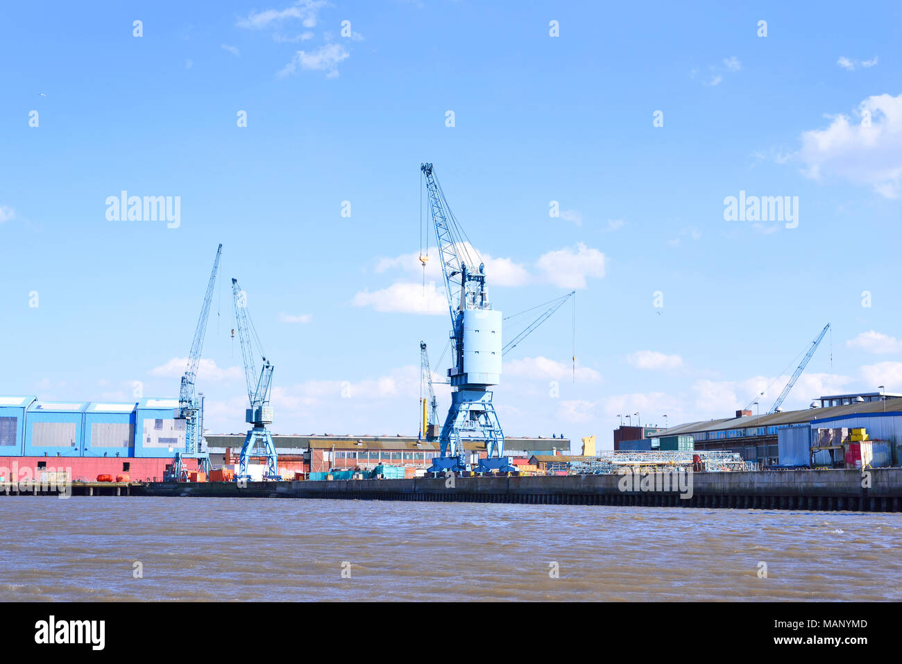 Container harbor with harbor cranes or freight cranes. Warf or cargo ...