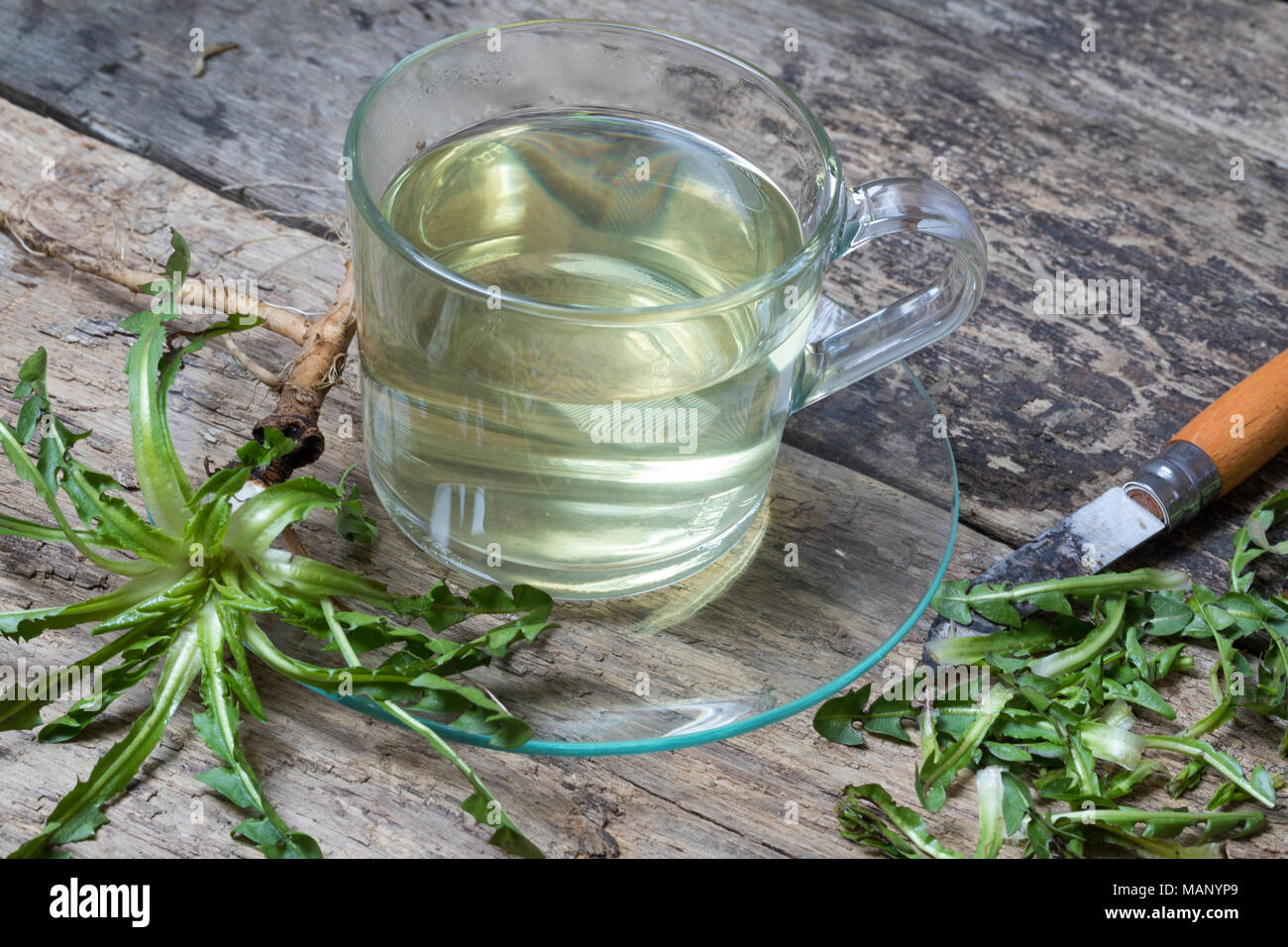 Löwenzahn-Tee, Löwenzahntee, Heiltee, Kräutertee, Tee, Wurzeltee ...