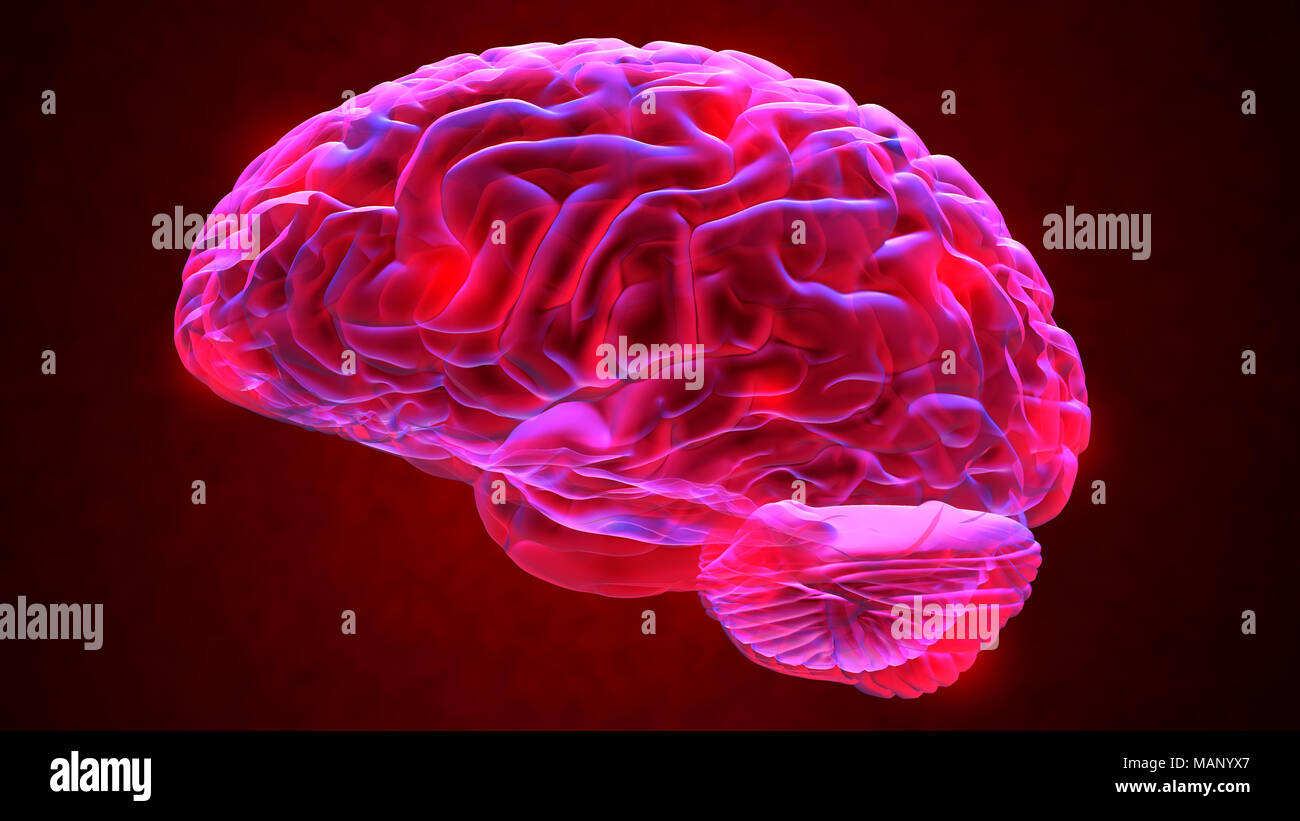 Human brain on dark background. 3D render Stock Photo - Alamy