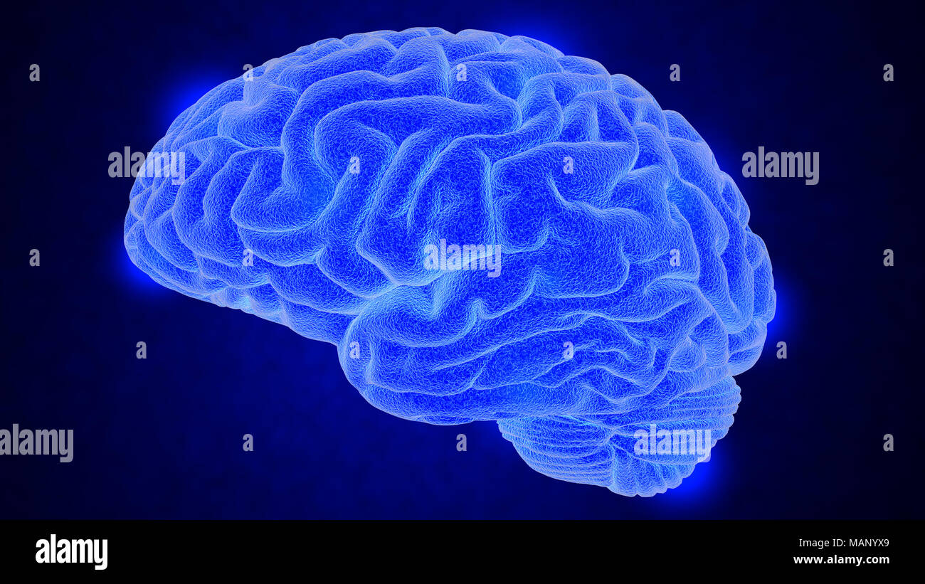 Human brain on dark background. 3D render Stock Photo - Alamy