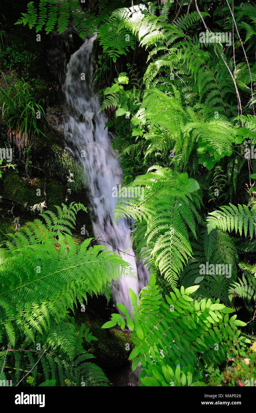 Sil river. Galicia, Spain Stock Photo - Alamy