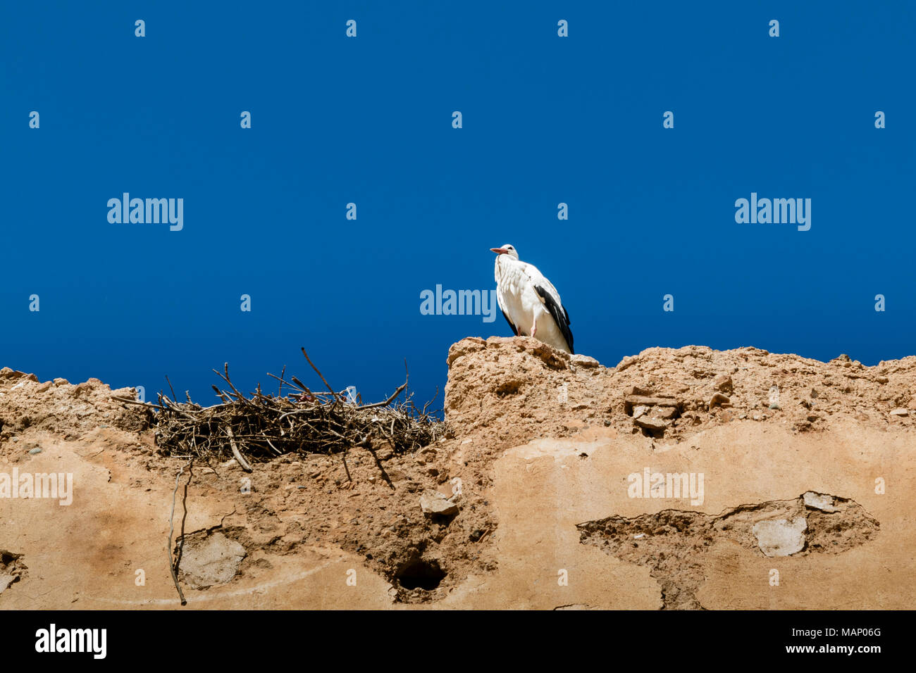 Nhass hi-res stock photography and images - Alamy
