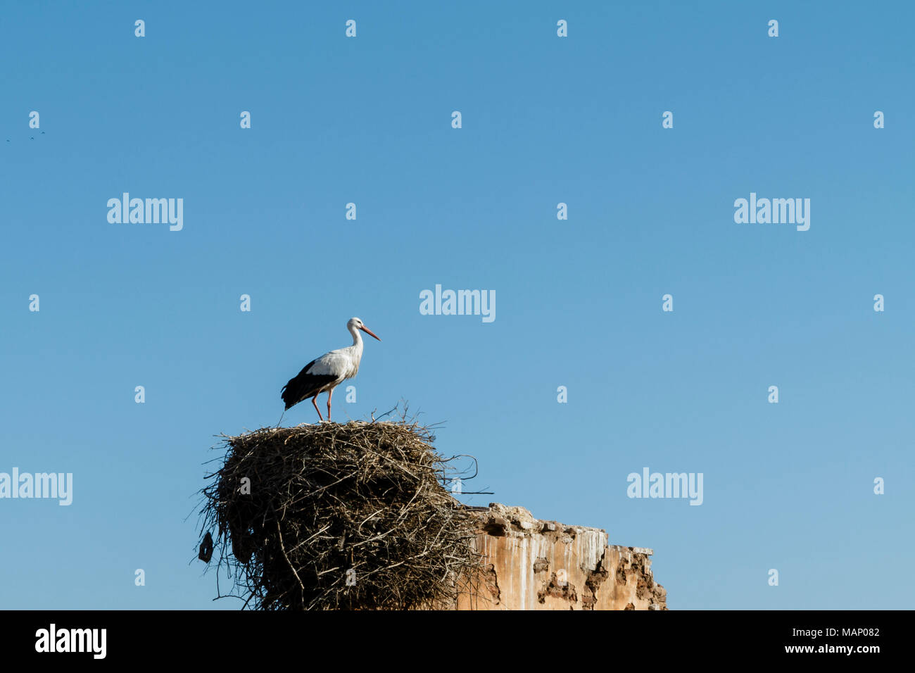 Nhass hi-res stock photography and images - Alamy