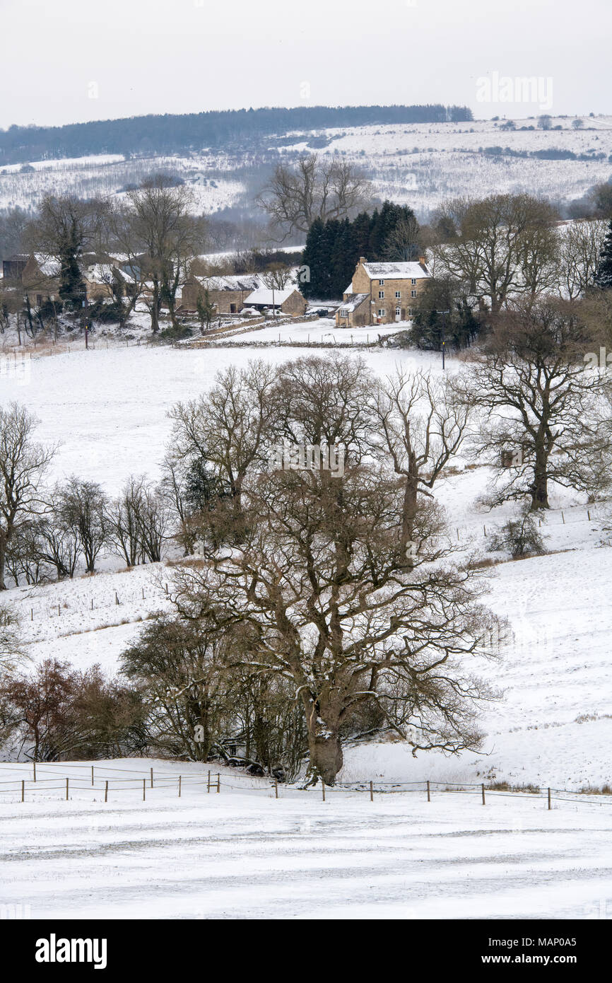Charlton abbots hi-res stock photography and images - Alamy