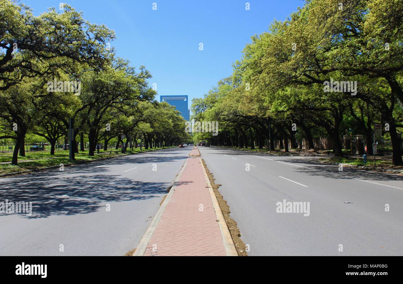 Oak tree overhanging hi-res stock photography and images - Alamy