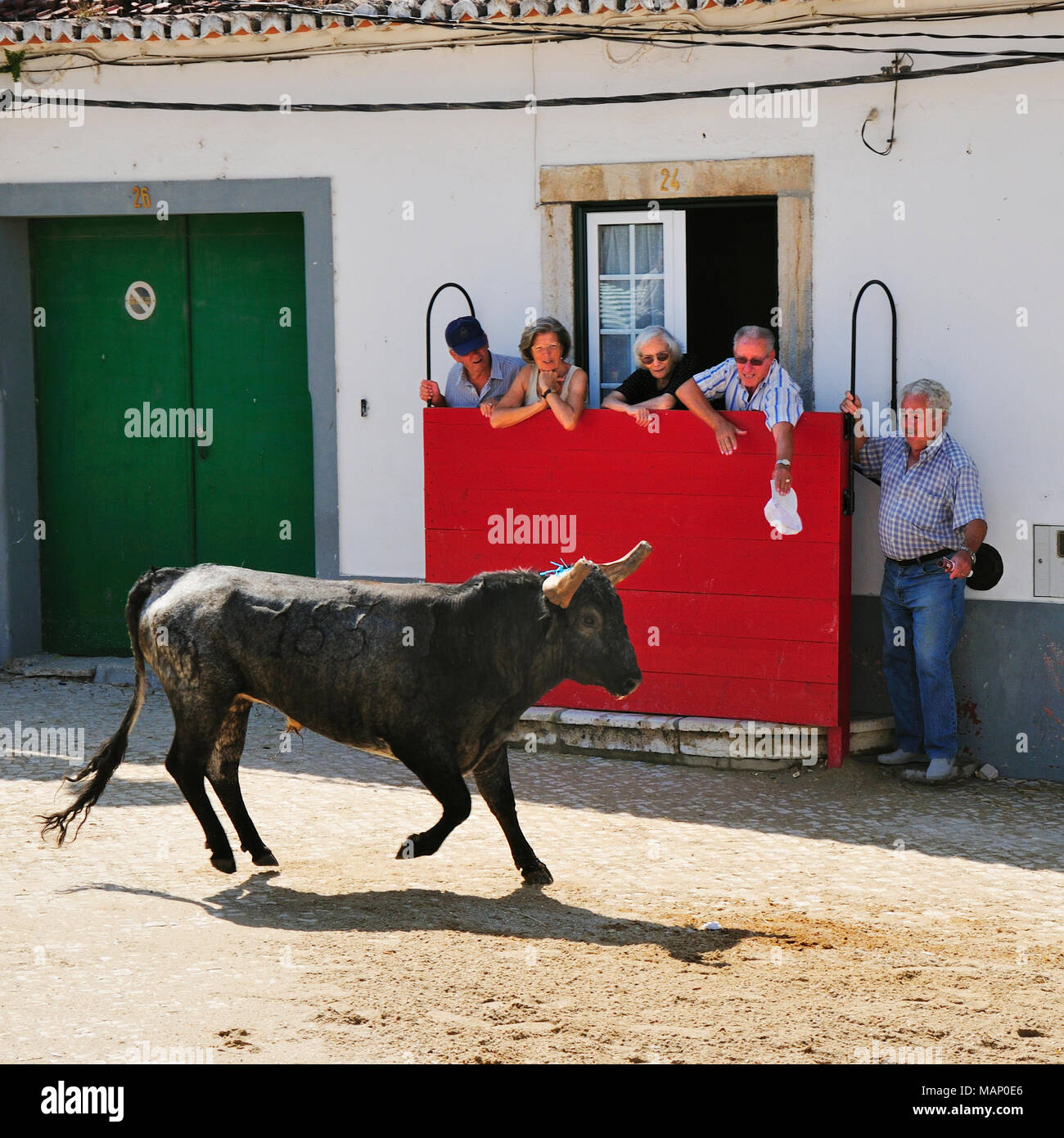 Bulls cap hi-res stock photography and images - Alamy