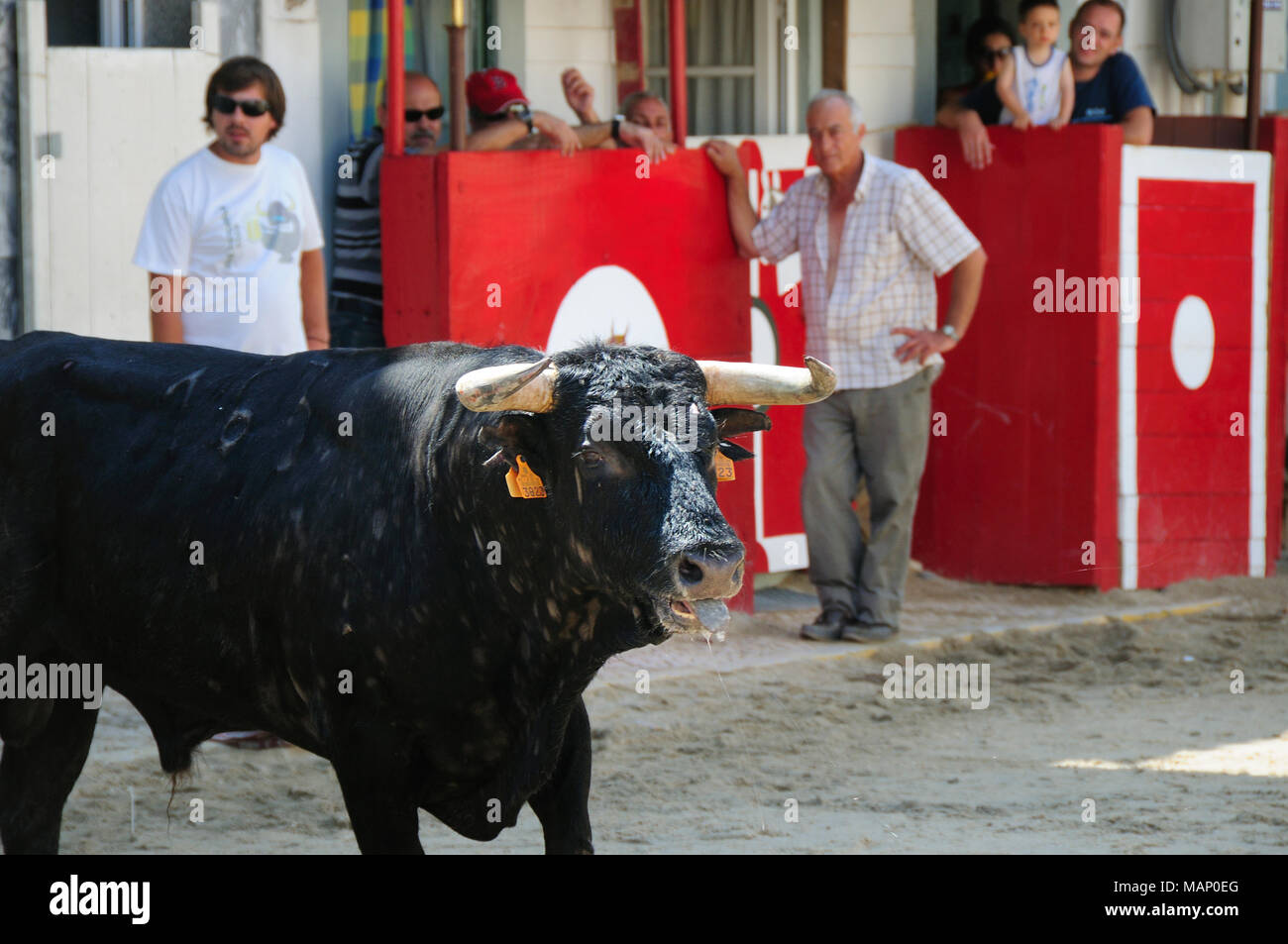 Bull running festivals hi-res stock photography and images - Alamy