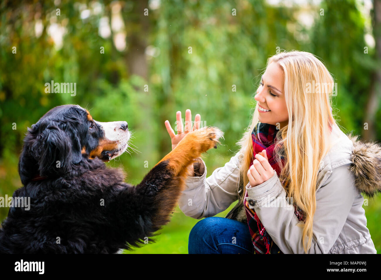 Woman shaking hands dog hi-res stock photography and images - Alamy