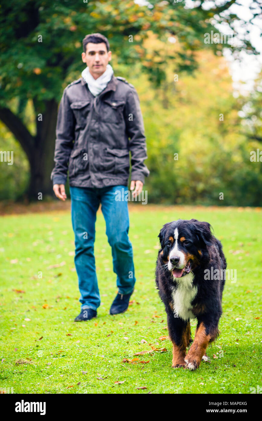 Man walking dog grass hi-res stock photography and images - Alamy