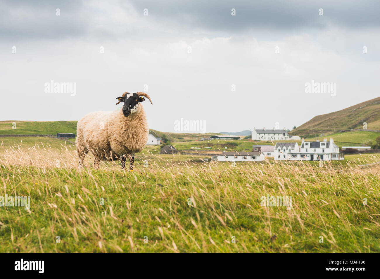 Monumento uk hi-res stock photography and images - Alamy