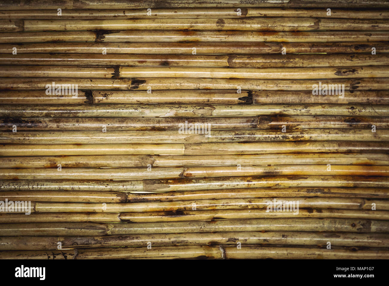 Bamboo Texture Background Pattern. horizontal trunks of bamboo wood ...