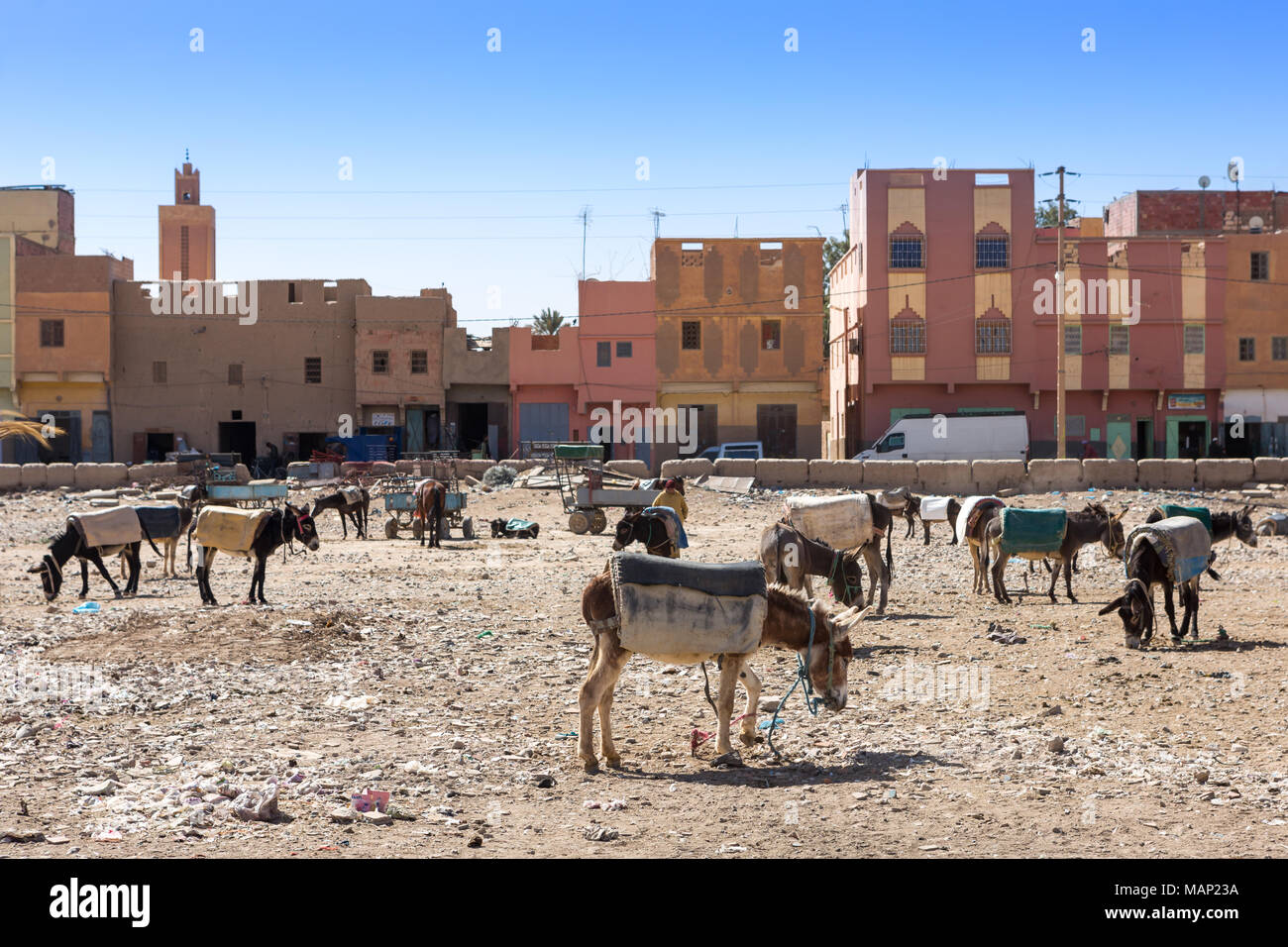 Rissani market in Morocco and the parking of donkeys and mules Stock ...
