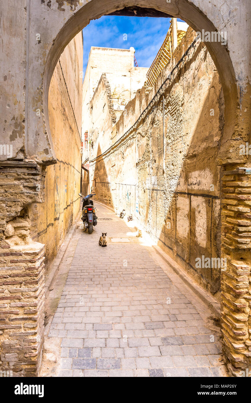 Ancient medina of Fez, Morocco Stock Photo - Alamy