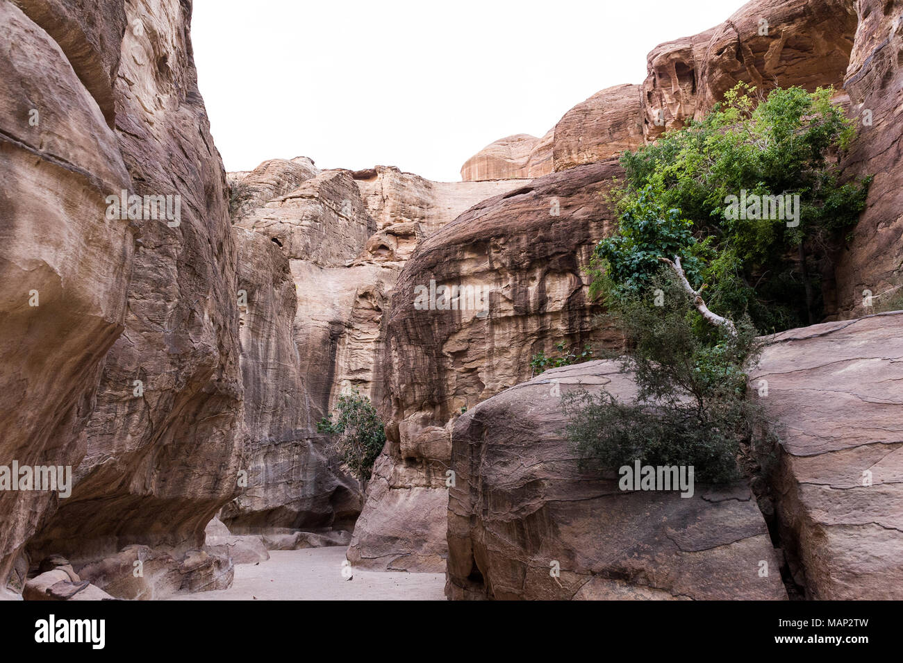The Siq is the main entry road that leads to the Treasary hall in the ...