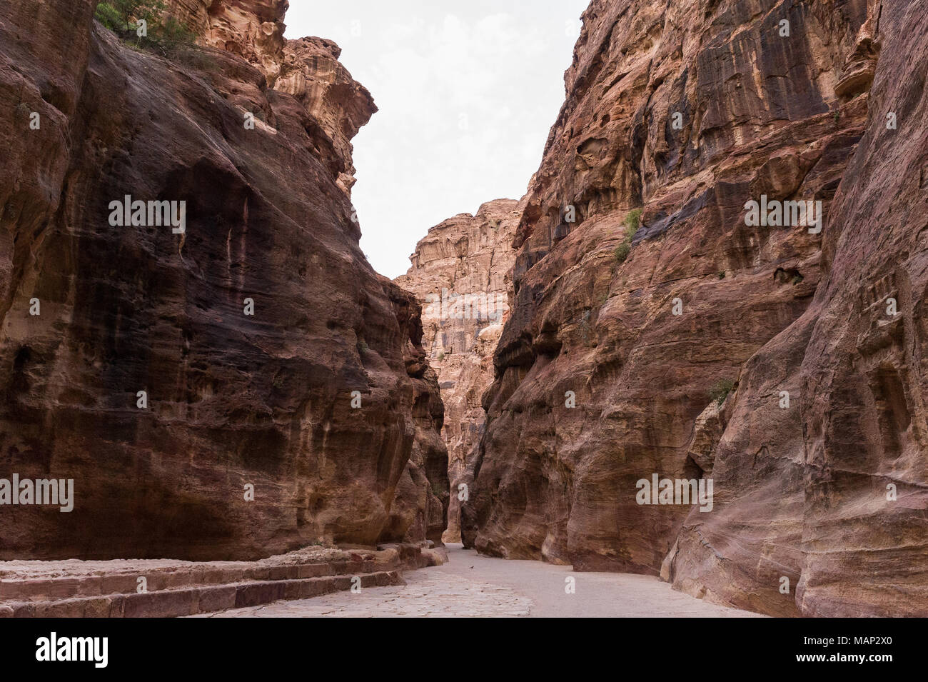 The Siq is the main entry road that leads to the Treasary hall in the ...