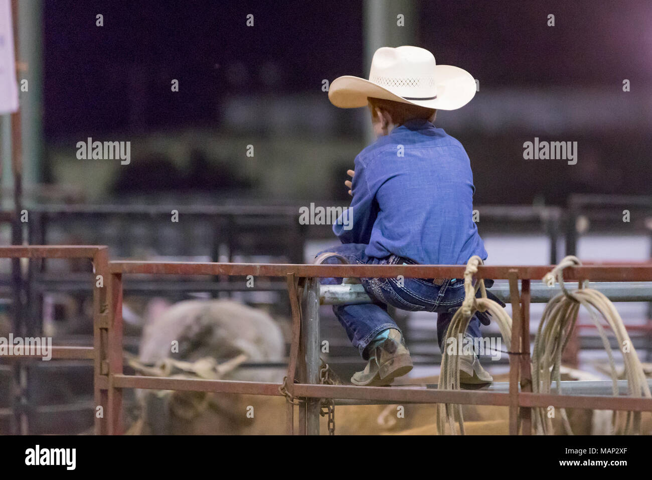 Child watching rodeo Stock Photo - Alamy
