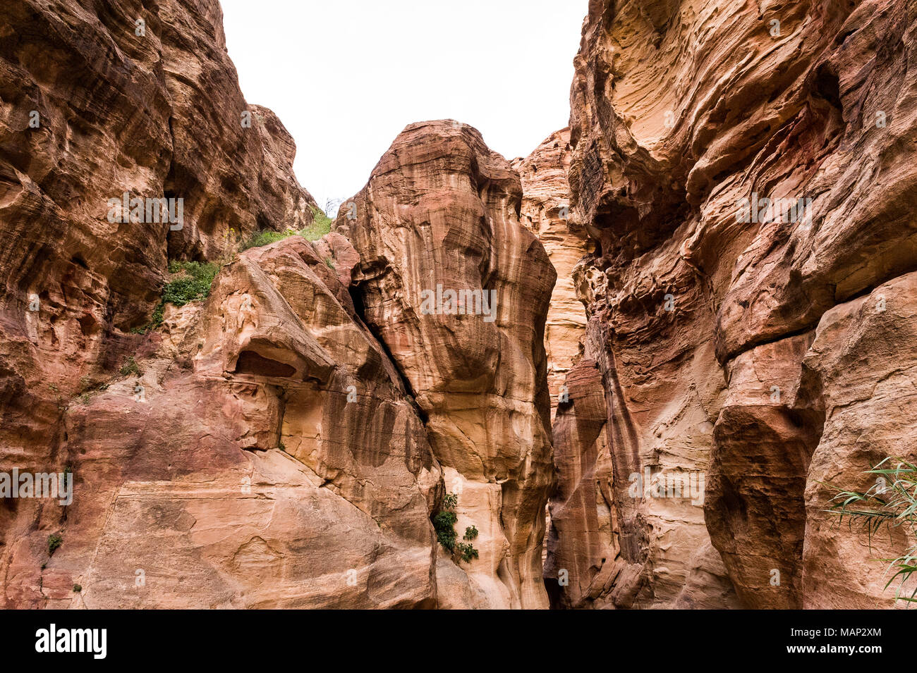 The Siq is the main entry road that leads to the Treasary hall in the ...