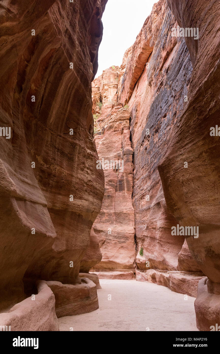 Th Siq is the main entry road that leads to the Treasary hall in the ...
