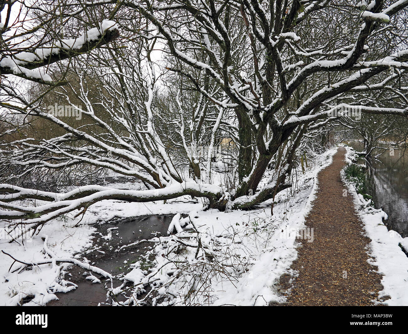 River Itchen Navigation Heritage Trail, walk after a snowfall ...
