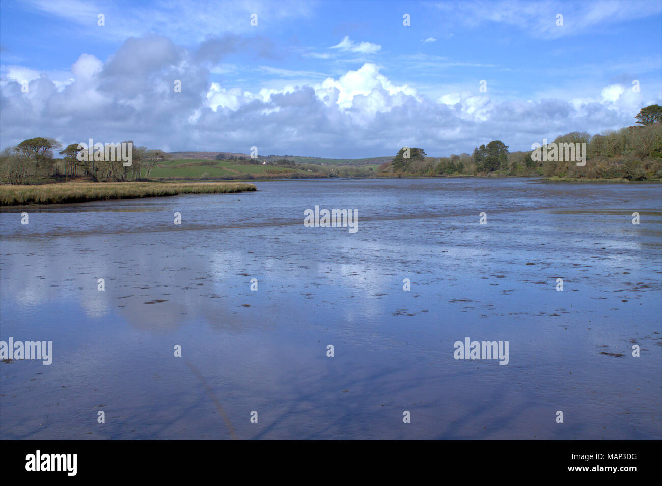 mud flats on a tidal estuary being exposed on the receding ebb tide ...