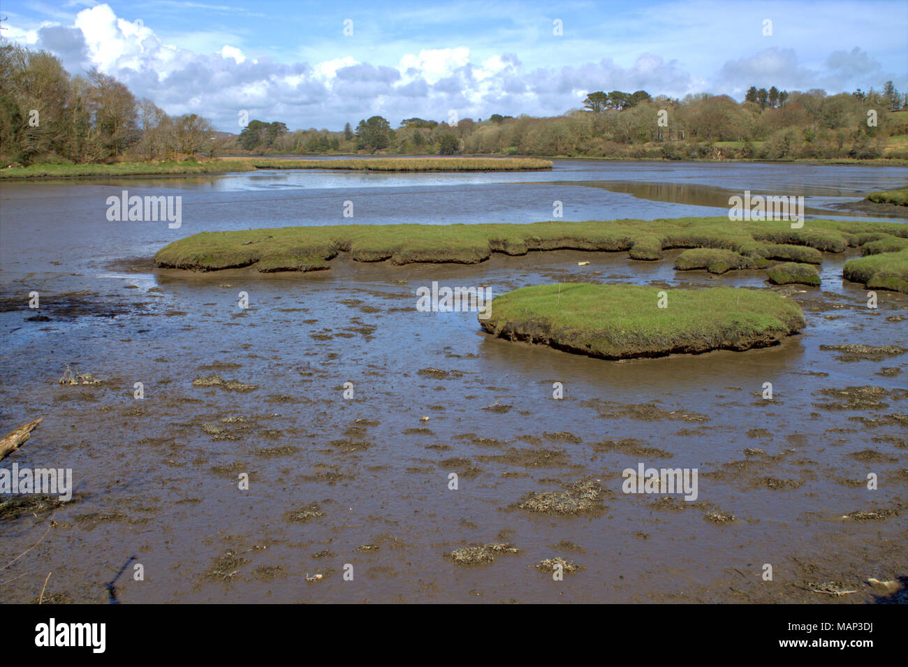 Exposed mud flats hi-res stock photography and images - Alamy