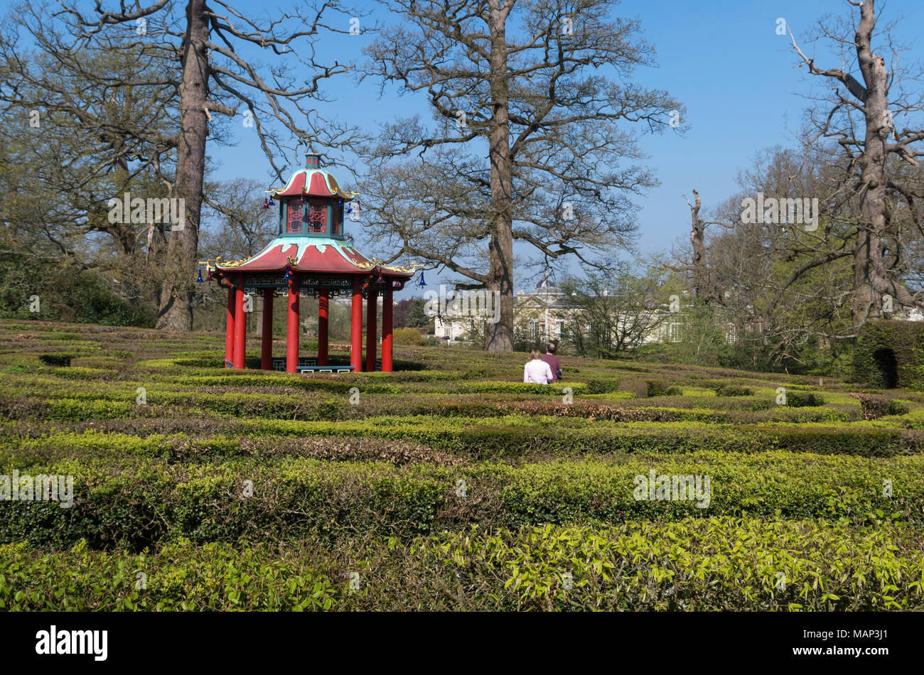 The Hornbeam Maze, with a Chinese Pagoda in the centre, Woburn Abbey ...
