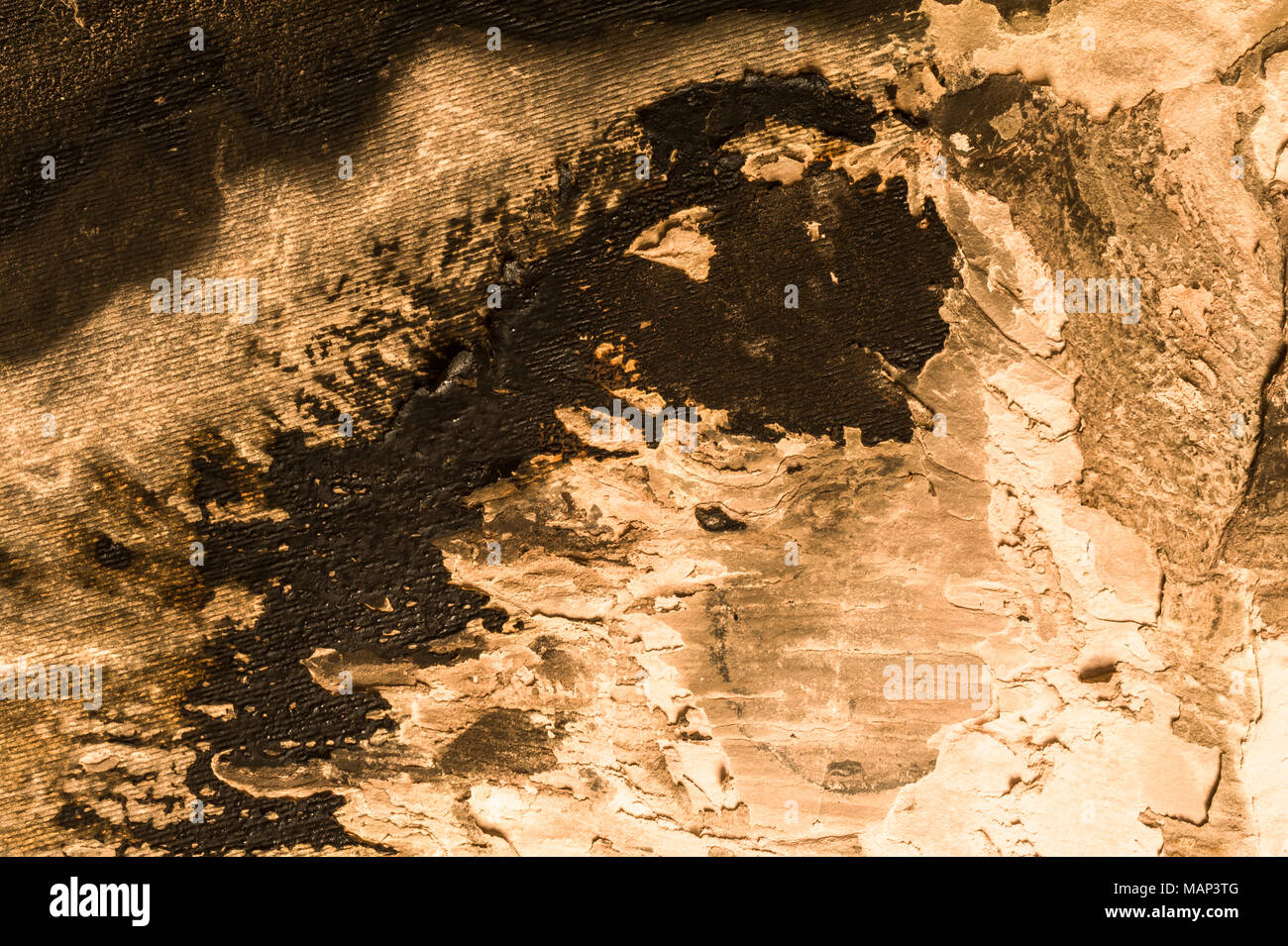 Detail of the rock wall in the Royal Tombs of Petra, Jordan Stock Photo ...