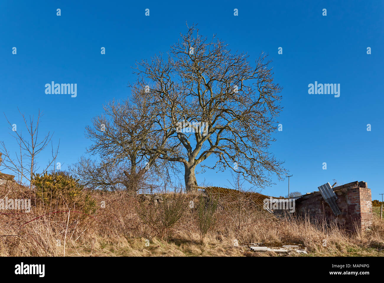 One of the many Cottage or Farm Building ruins dotted around the ...