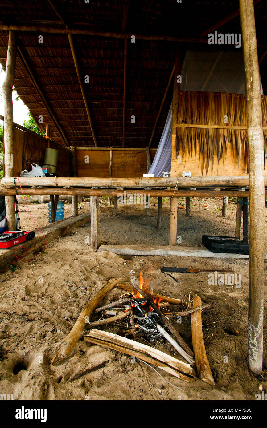 Fire island wilderness hi-res stock photography and images - Alamy