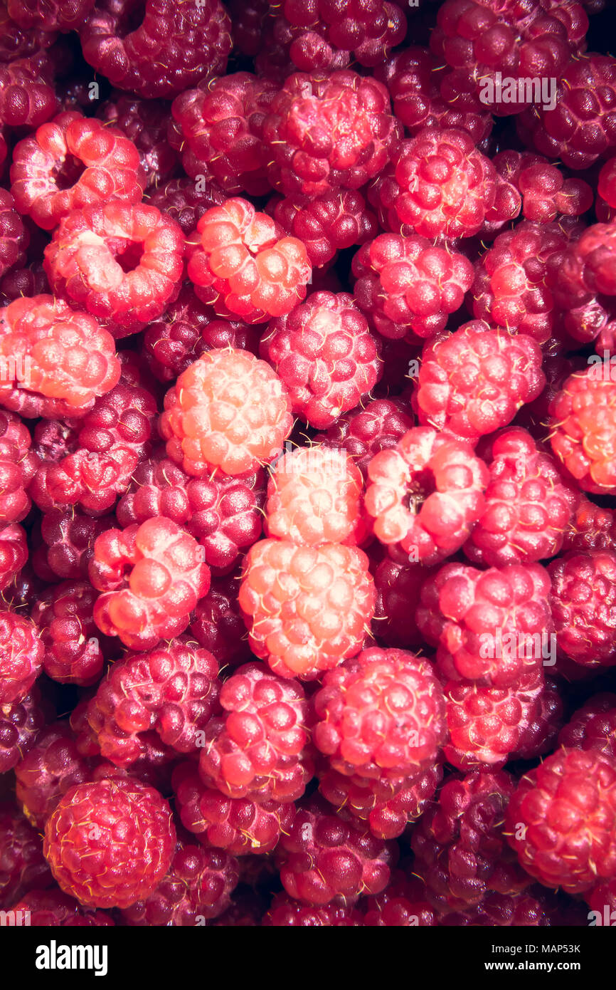 Vintage raspberry hi-res stock photography and images - Alamy