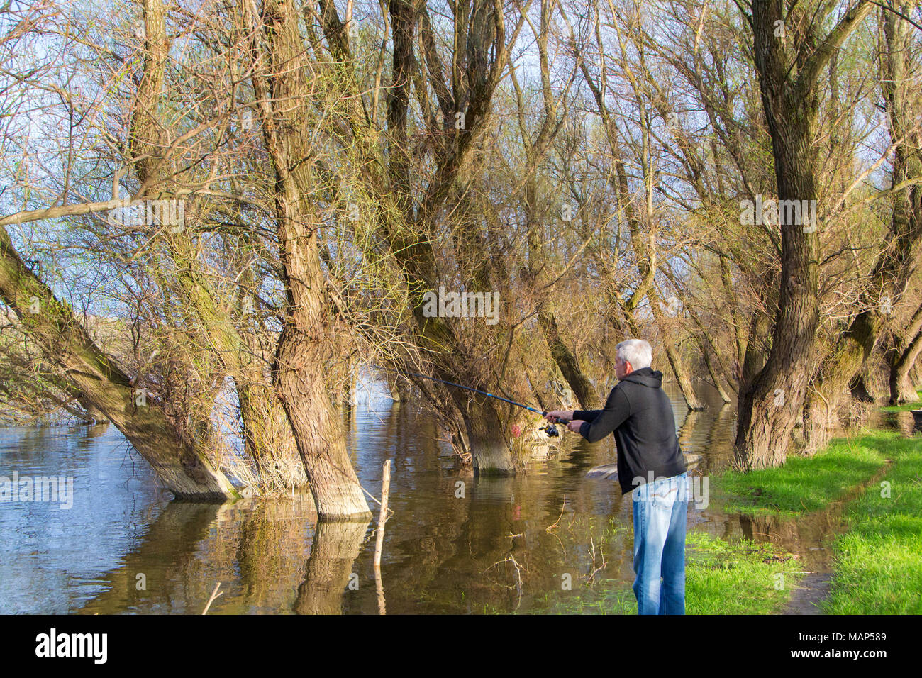 Freshwater fish in danube river hi-res stock photography and images - Alamy