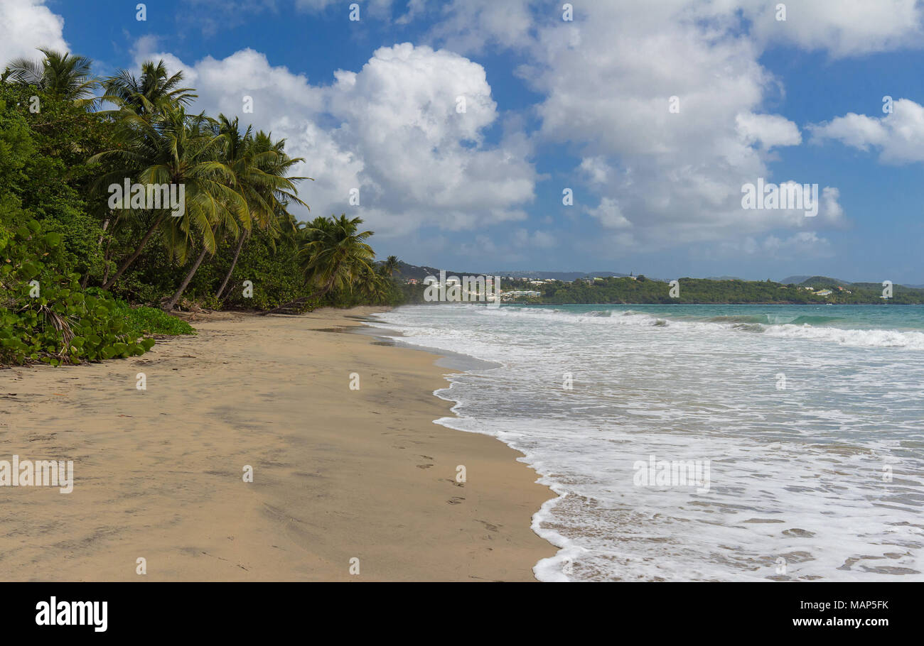 Martinique scenery hi-res stock photography and images - Alamy