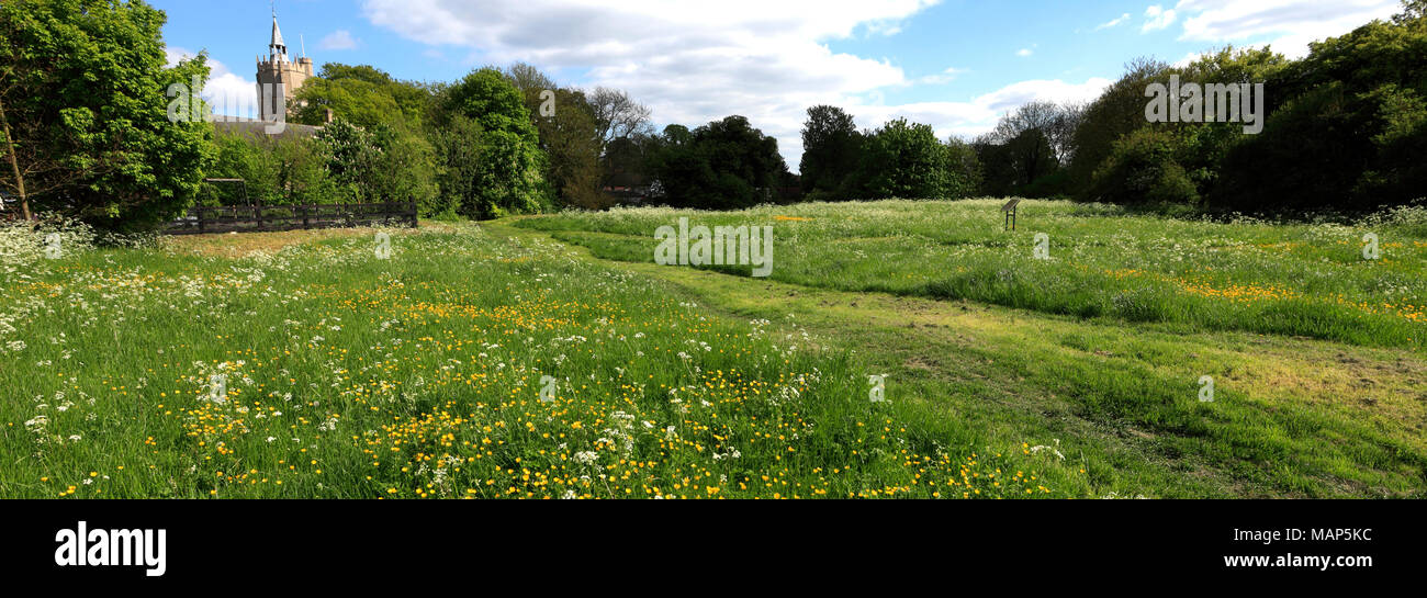 Summer view over the remains of Burwell Castle, Burwell village ...