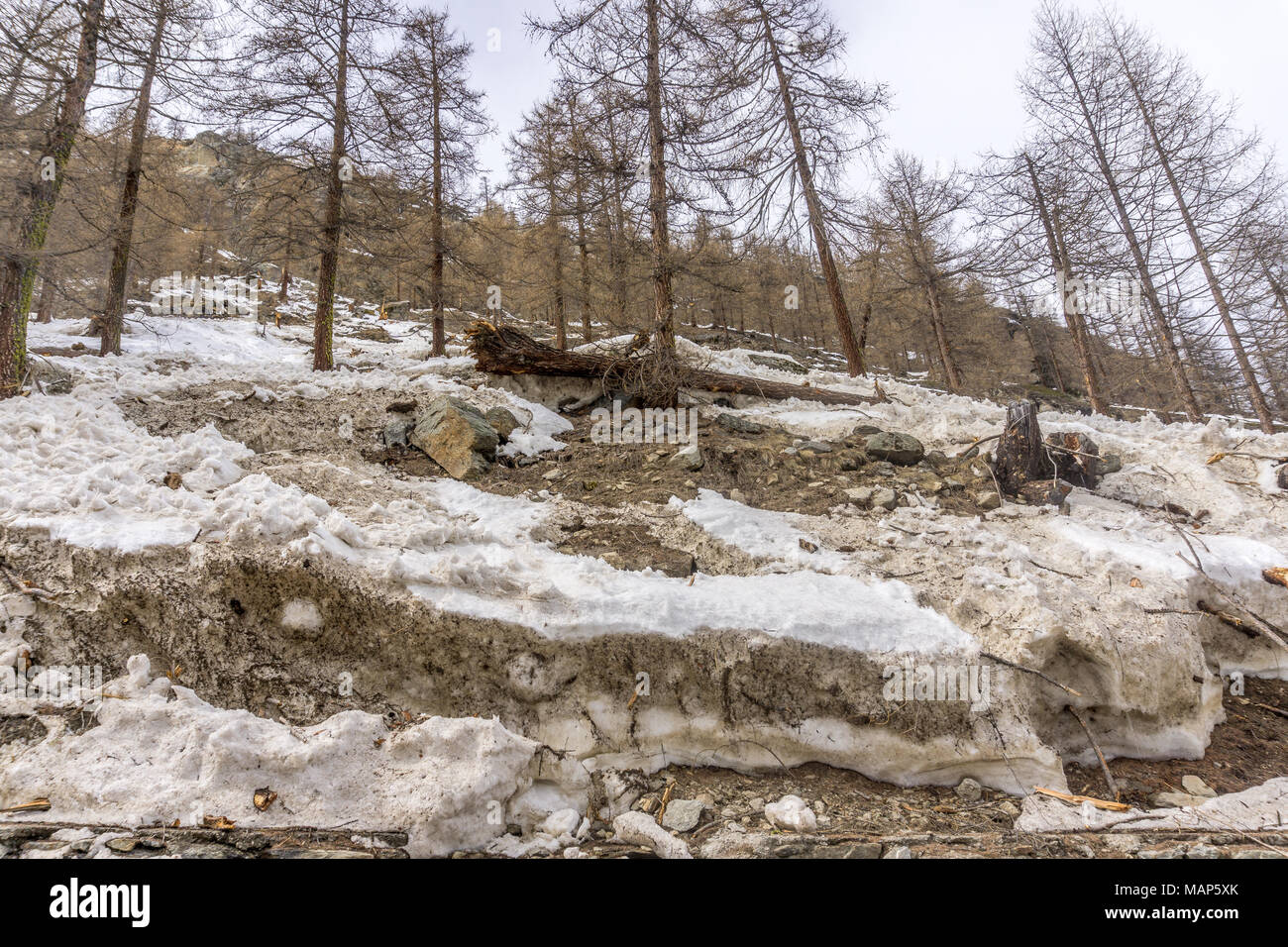 snow avalanche in the mountains Stock Photo - Alamy