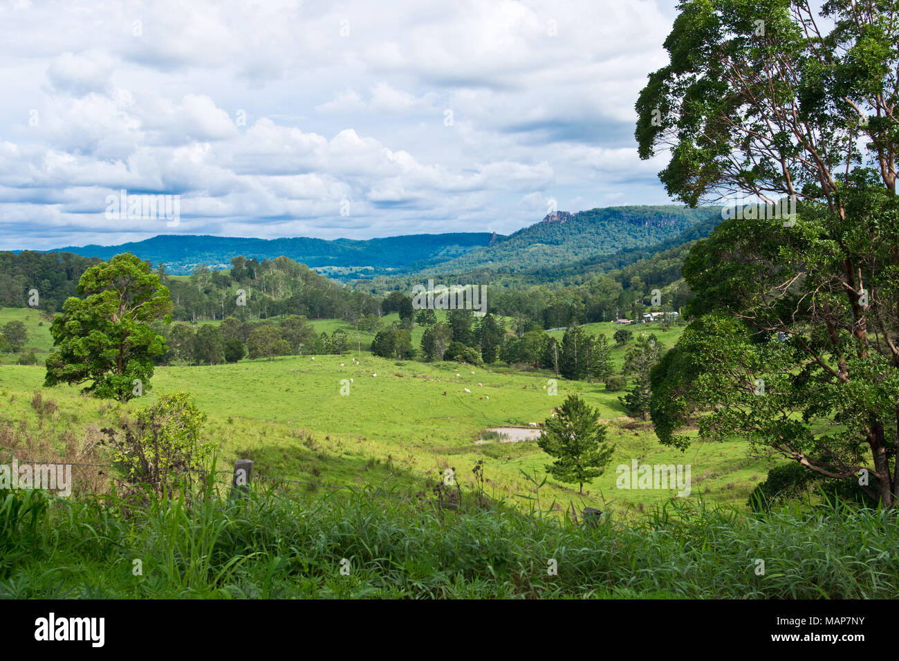 Landscape in Australian hinterland in the summer Stock Photo - Alamy