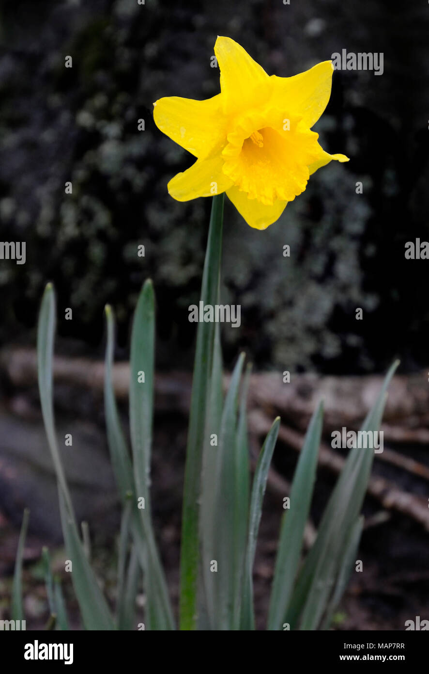 Pretty colour hi-res stock photography and images - Alamy