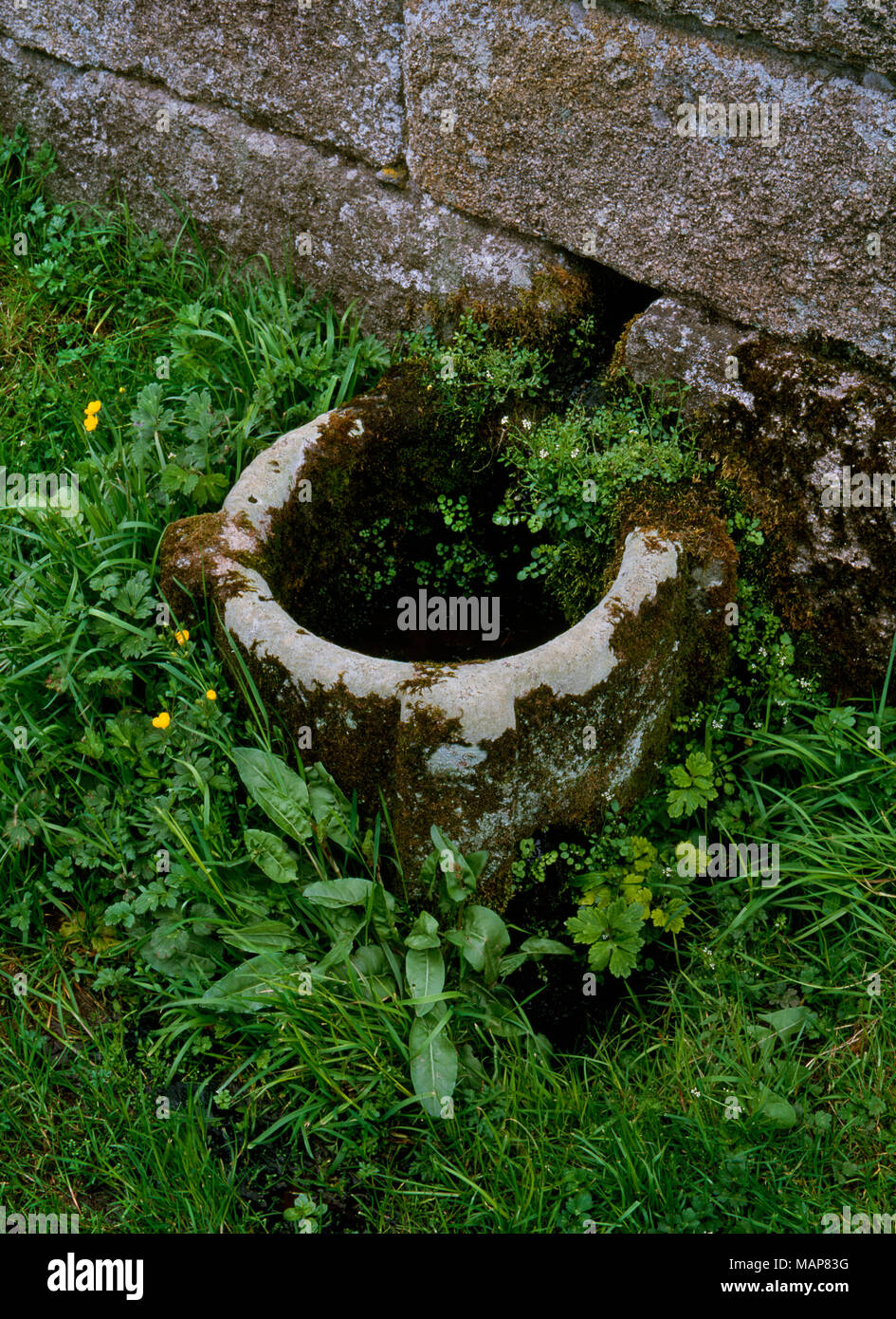Stone basin outside E wall of late Medieval/Tudor well house at Dupath ...