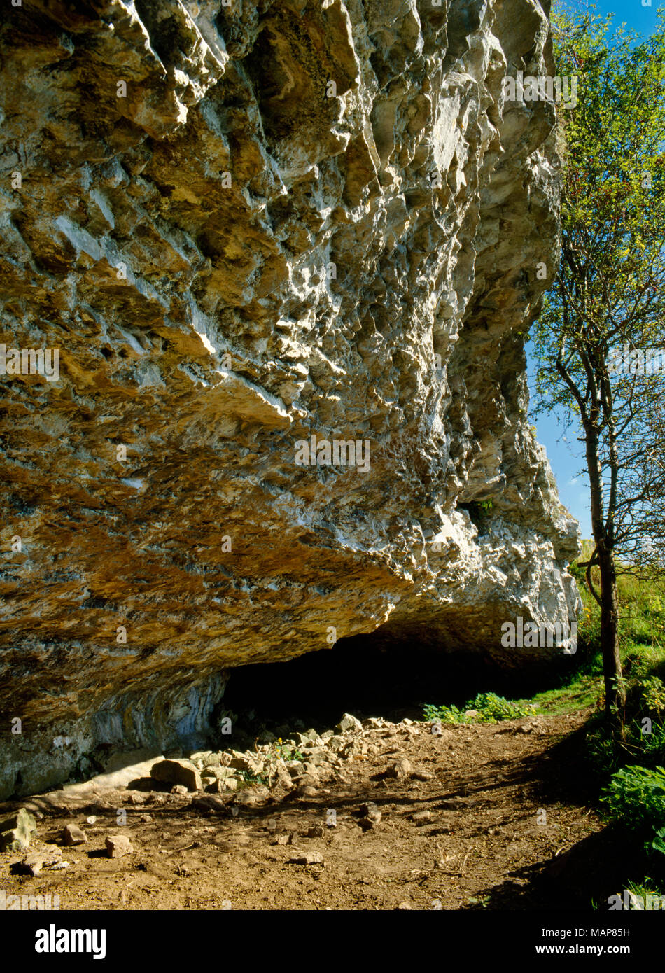 Interconnected rock shelter & caves in the limestone cliff face below ...