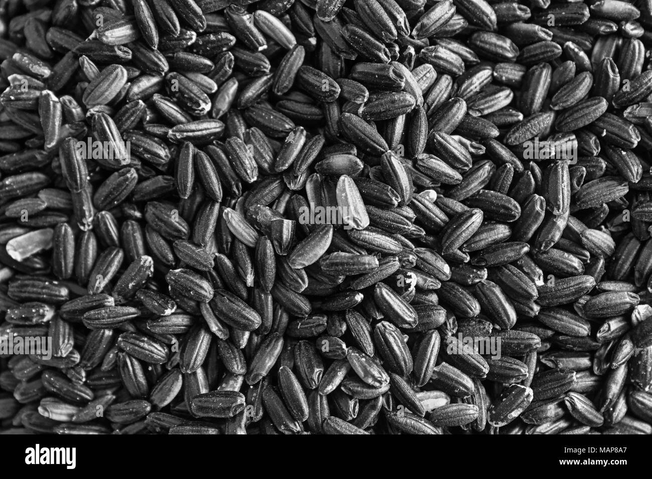 Eating rice Black and White Stock Photos & Images - Alamy