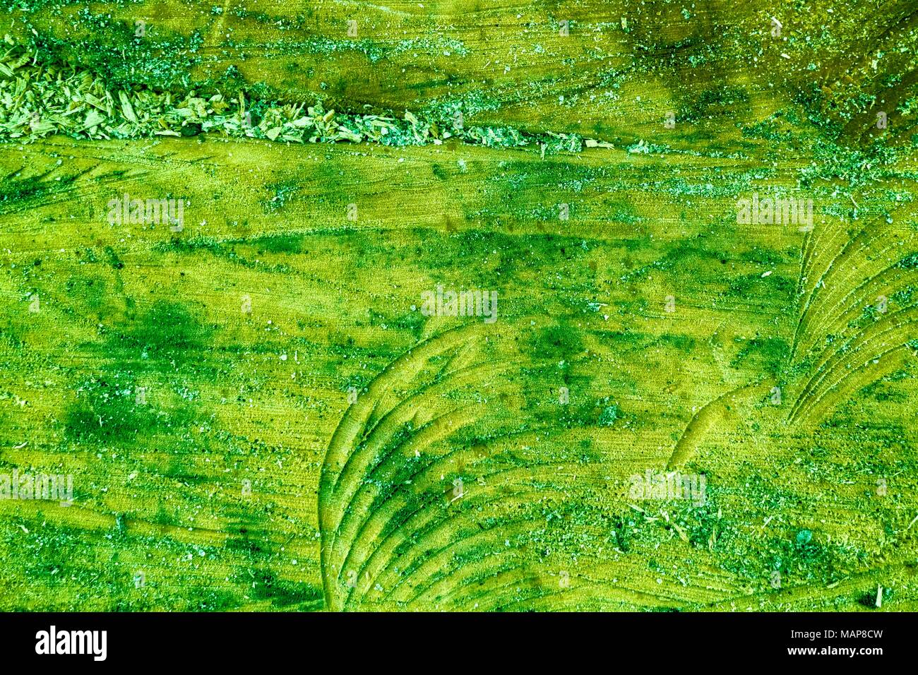 Golden lime colored Stump wooden structure for texture or background ...
