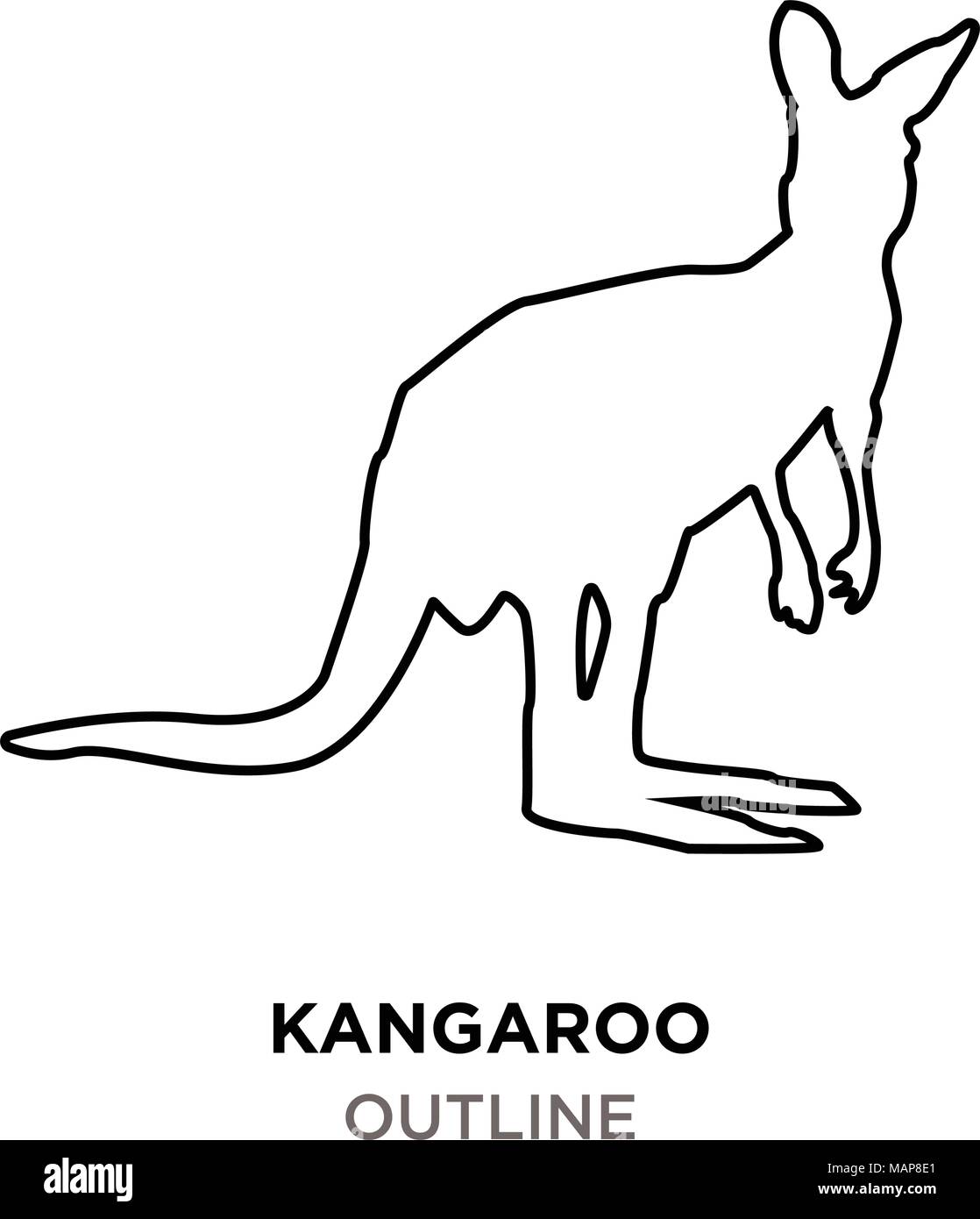 kangaroo outline on white background Stock Vector Image & Art - Alamy
