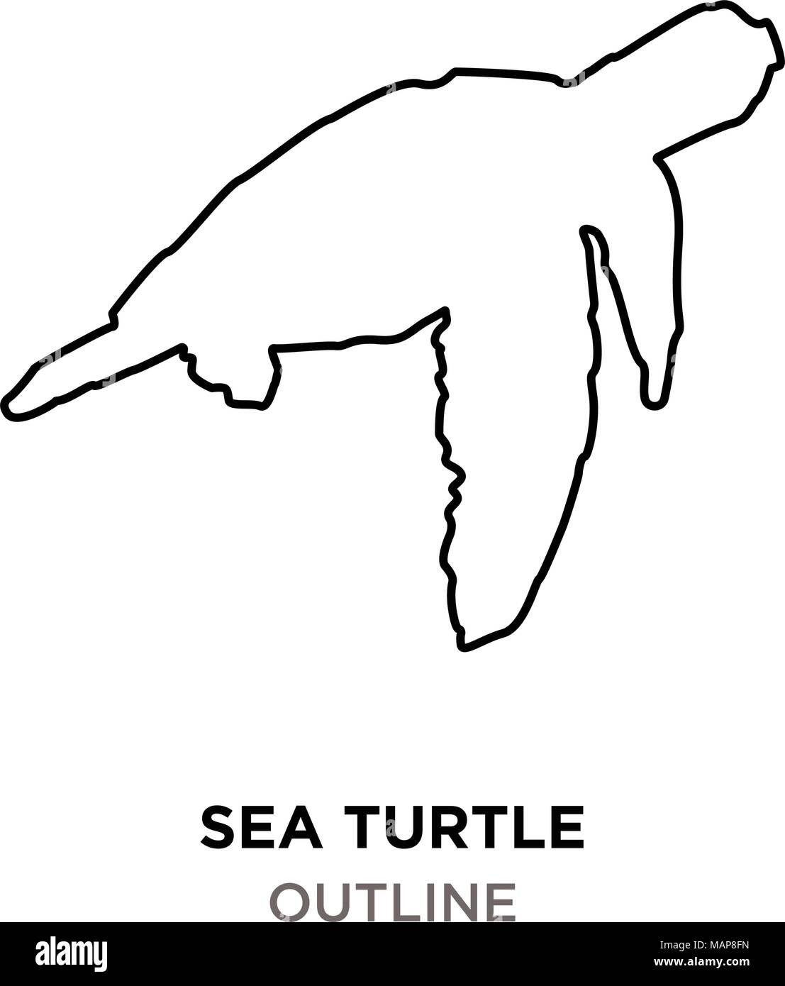 sea turtle outline on white background Stock Vector Image & Art - Alamy