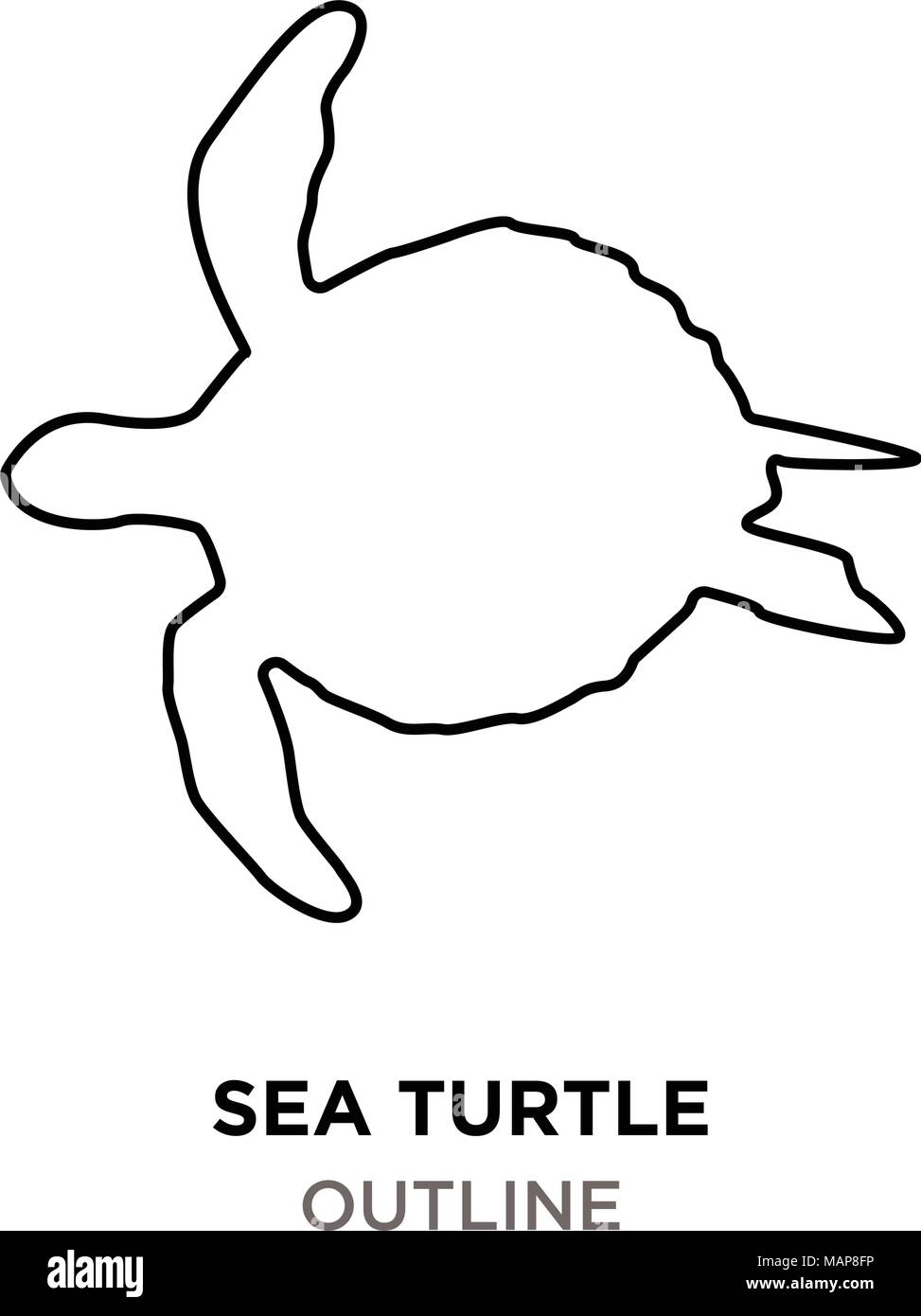 sea turtle outline on white background Stock Vector Image & Art - Alamy
