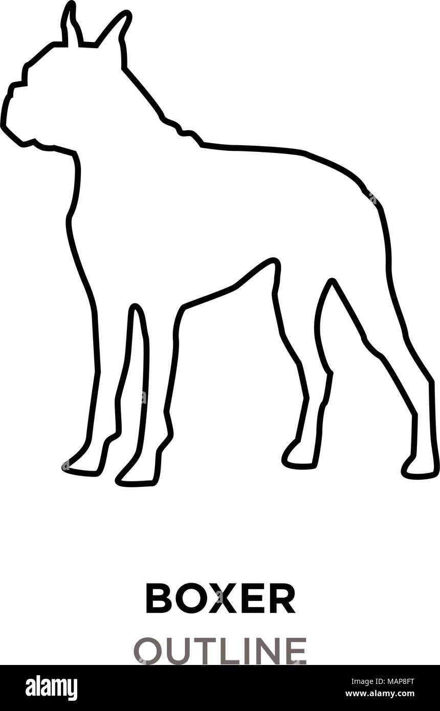 English boxer dog Stock Vector Images - Alamy