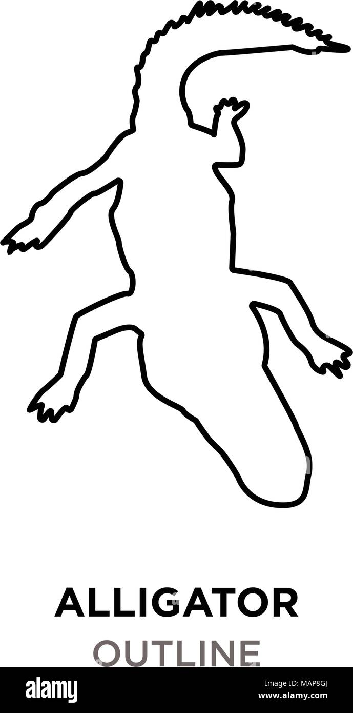 alligator outline on white background Stock Vector Image & Art - Alamy
