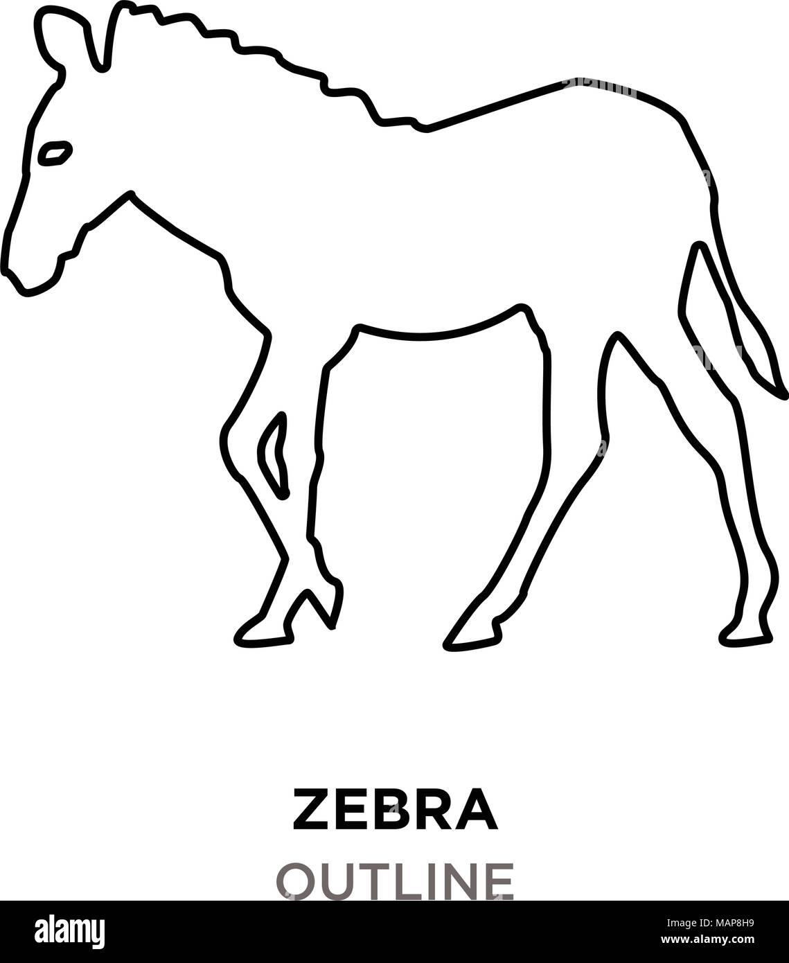 Zebra Outline Drawing