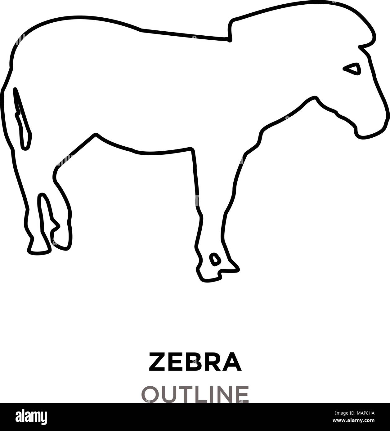 zebra outline on white background Stock Vector Image & Art - Alamy