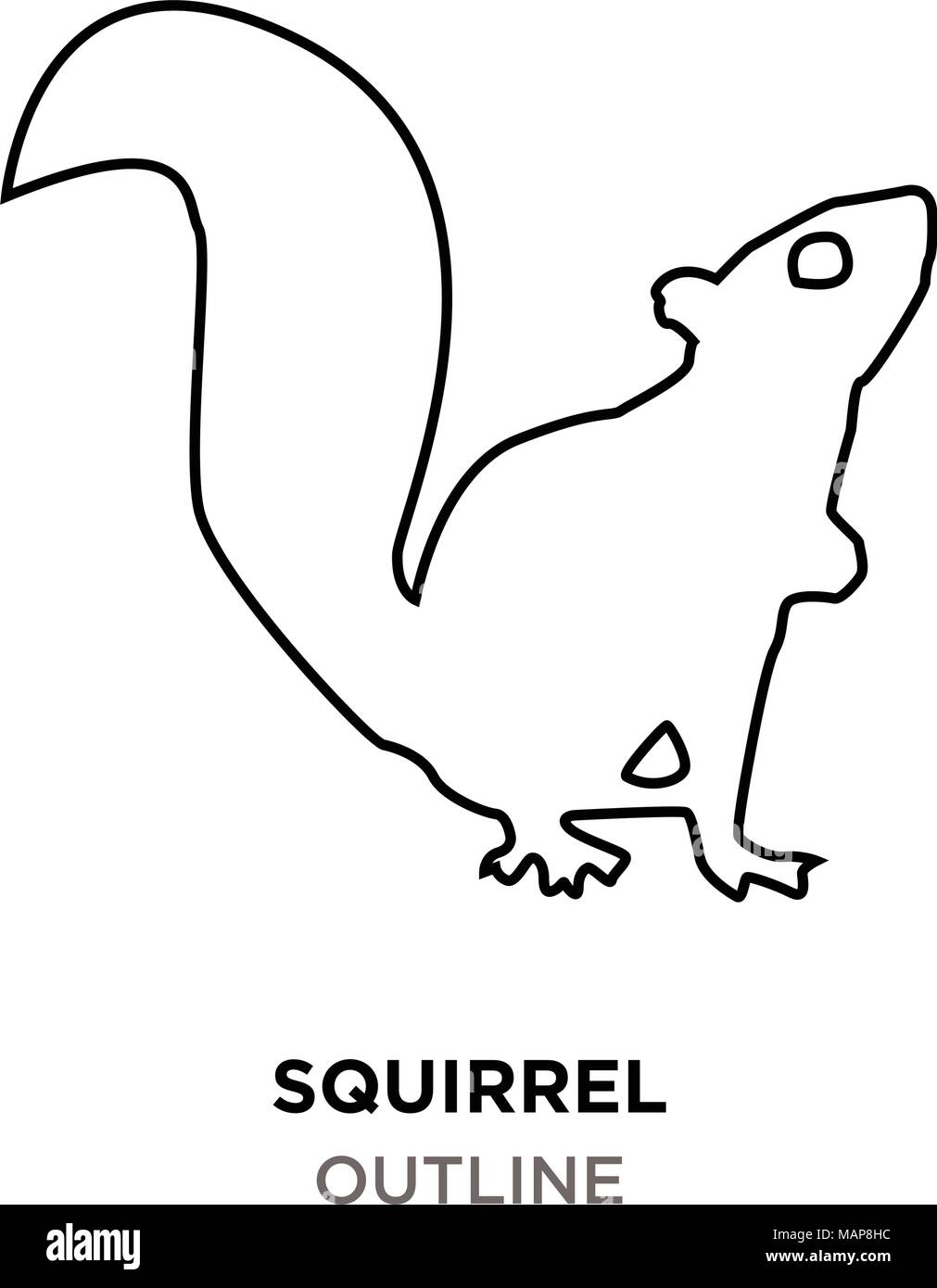 outline of a squirrel on white background Stock Vector Image & Art - Alamy